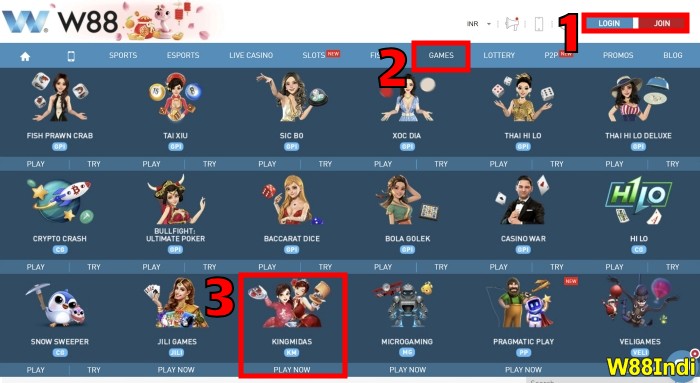 Andar Bahar Demo Guide - Free Practice Games for Beginners