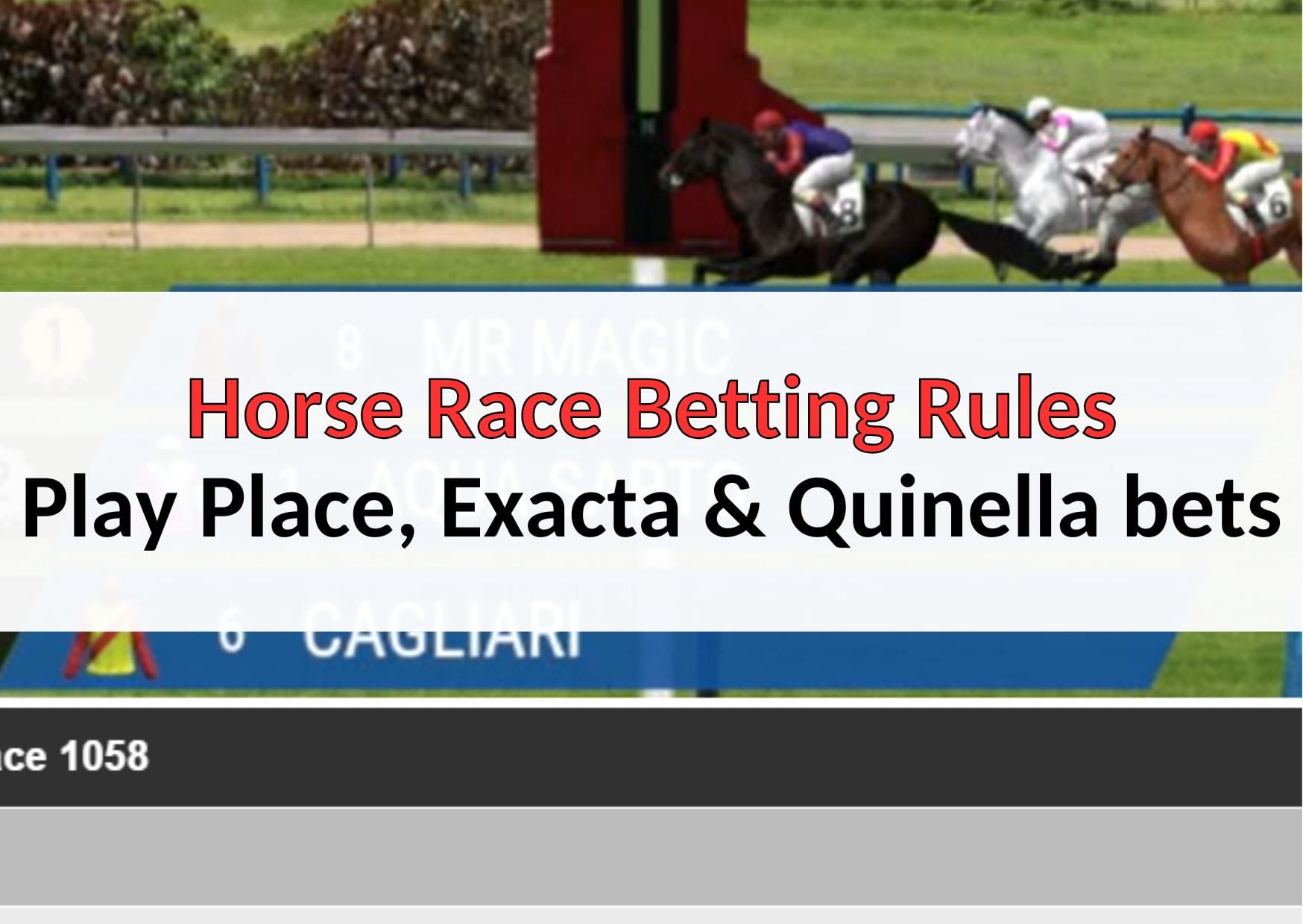 Horse Race Betting Rules: Play Place, Exacta & Quinella bets